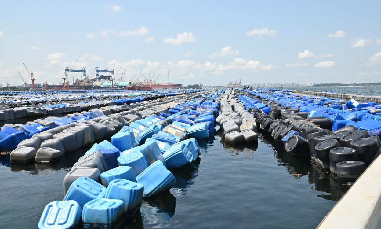 Livelihood Restoration Plan | PRefChem